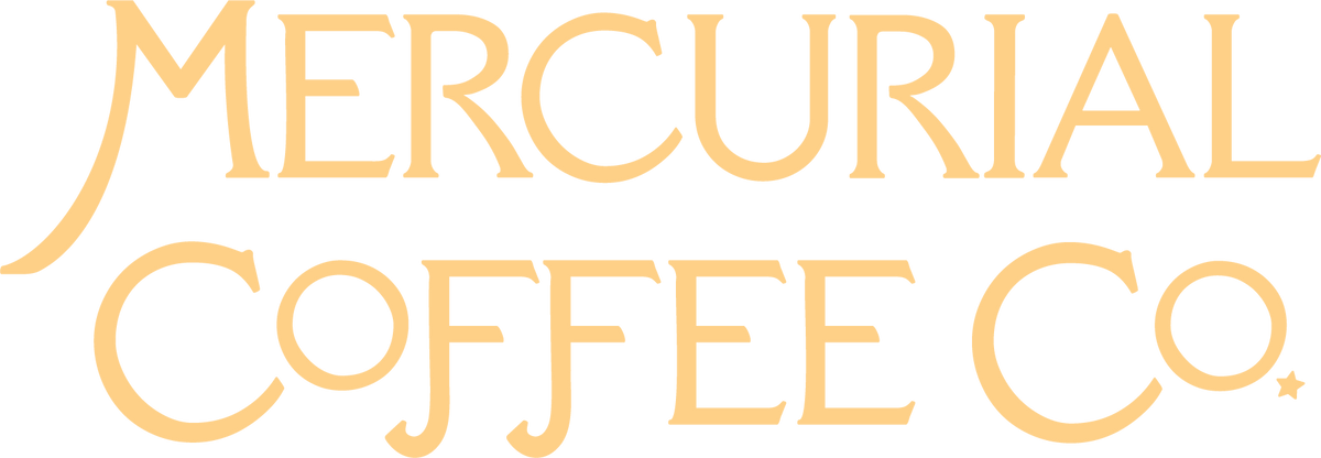 Dean Mahoney and Harry D'Agostino, Founders of Mercurial Coffee ...